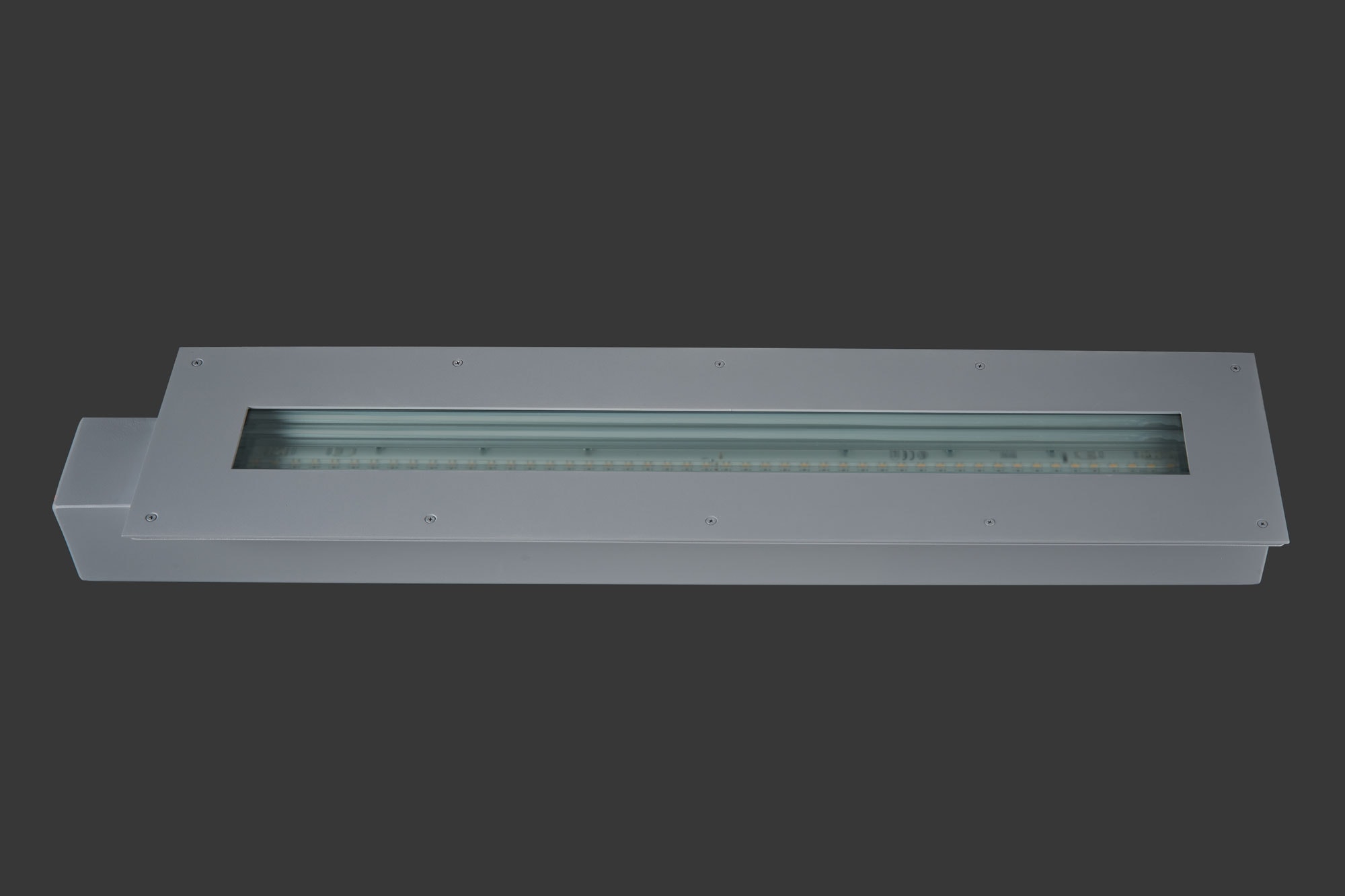 Renalis - humanlumen